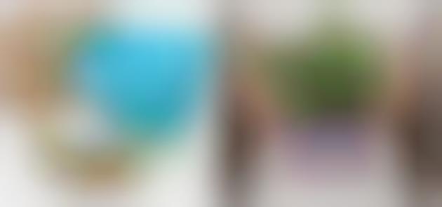 35 Provocative Planters