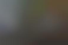 Road-Kill Cafes : Hillbilly Tea