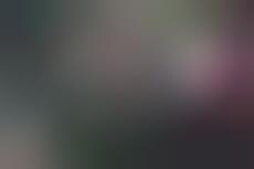 Hippie Utopia Photography : Rainbow Gathering