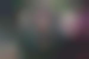 Hippie Utopia Photography : Rainbow Gathering