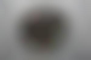 DIY Taxidermy Workshops : charlie tuesday gates