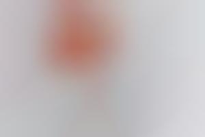 Interactive Illuminating Vases : Touch Lamp Vase