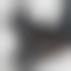 Doggy Shoe Cleaners : The Benny Brush