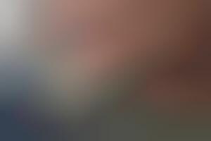 Fuzzy Computer Controllers : Felt Mouse