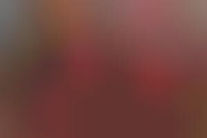 Melting Art Exhibitions : Nicolas Pol