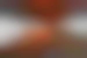 Pivoting Food Prep Areas : Transgenerational Kitchen