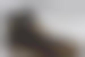 Vintage Freedom-Fighting Kicks : Converse All Star 50475