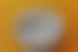 Spiraling Paper Art : Bianca Chang