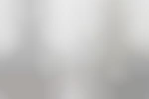 $6.2-Million Spirits : Isabella Islay