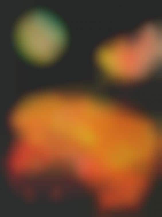 Astonishing Surrealist Art : Shary Boyle