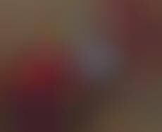 All-Terrain Electric Powerboards : Scarpar Model S