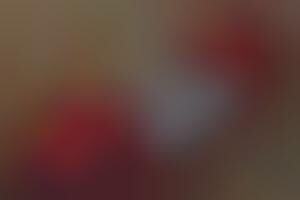 All-Terrain Electric Powerboards : Scarpar Model S