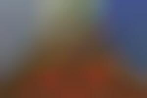 Vibrant Upcycled Carpets : Alicia Beck