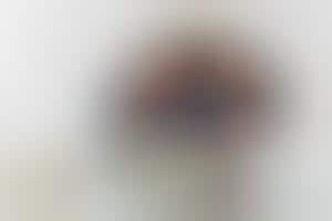 Pretty Plaid Packaging : Camille Brunelle Fudge Packages