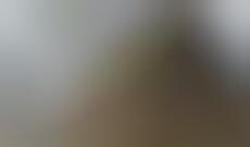 Natural Wooden Studios : Architects Eat Linear House