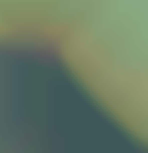 70 Modern Polaroid Projects