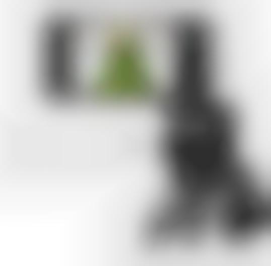 26 Stellar Smartphone Add-Ons