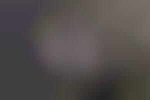 Robot Luggage Handlers : Yotel New York's Yobot