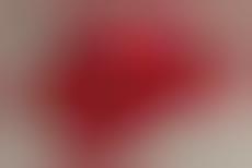 Creepy-Crawly Sculptures : Sarah Knouse