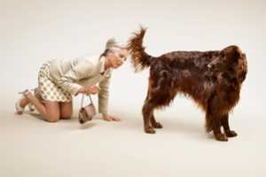 Canine Custom Campaigns : Date-a-Dog Ads