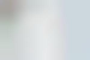 Redhead Trauma Twitter Accounts : Ginger Problems