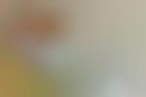 Crocheted Canine Collars : Amailo Dog Accessories