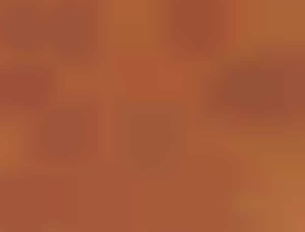 100 Alternative Alphabetic Fonts