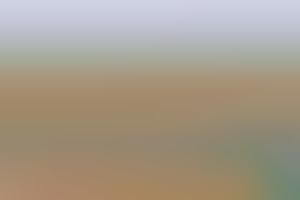 Southpaw Statistics : Facts and Stats About Lefties