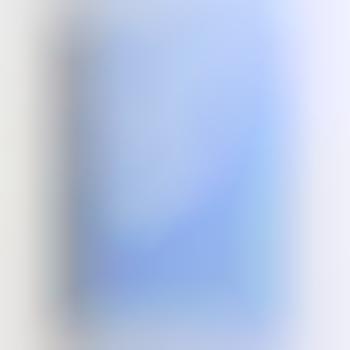 38 Privacy-Protecting Journals