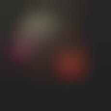 Blunt Fashion Accessories : Coke Talk's Blunt Accessories