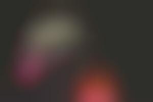 Blunt Fashion Accessories : Coke Talk's Blunt Accessories