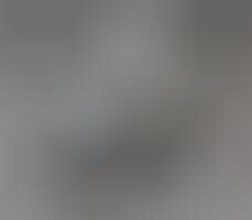 Carefully Constructed Cameras : Papercraft Leica