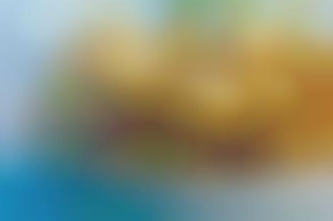 Excessively-Priced Potatoes : La Bonnotte Potatoes