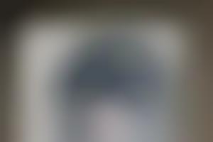 Worrisome Watercolors : Sara Holbert Flocking 2011