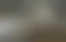 Cardboard Herb Gardens : Roll Out Vegetable Patch