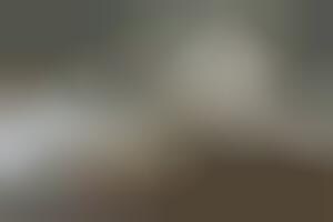 Cardboard Herb Gardens : Roll Out Vegetable Patch