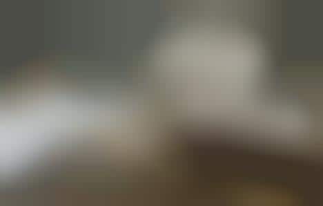 Cardboard Herb Gardens : Roll Out Vegetable Patch