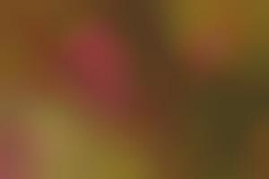 Articulate Cartoon Art : Jessica Fortner Illustrations