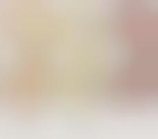 Vintage Popsicle Packaging : Bar Gelato branding