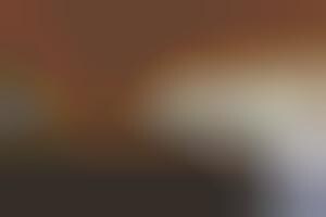 Forest Canopy Eateries : TREE Restaurant