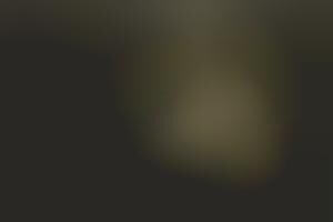 Tactile Illuminating Switchplates : Piano Light Switch