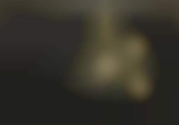 Tactile Illuminating Switchplates : Piano Light Switch