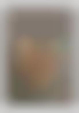 34 Packaged Organic Foods