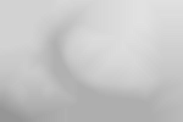 100 Alternative Alphabetic Fonts