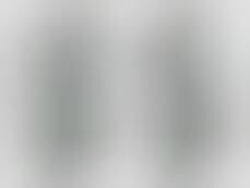 Heavy-Duty Smartphone Covers : MeeMojo Aluminum iPhone 4 Case