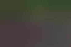 Chromatic Grad Caps : Pantone Chip Mortarboards