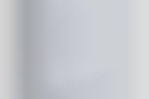 Illustrated Fish Branding : Jonah and the Whale Vodka Packaging