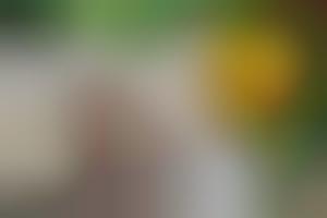 Shocking Snapshot Manipulations : Martin Grohs