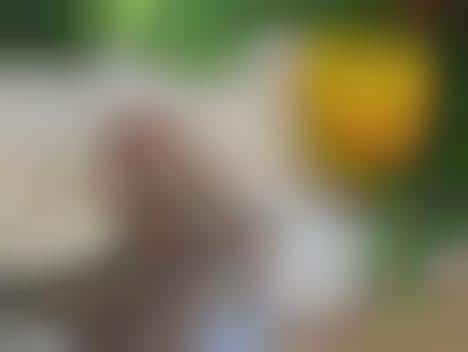 Shocking Snapshot Manipulations : Martin Grohs