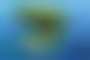 Personal Pod Submarines : MSV Explorer